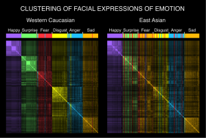 Understanding the Face as a Dynamic Communication Tool | Emotion Researcher