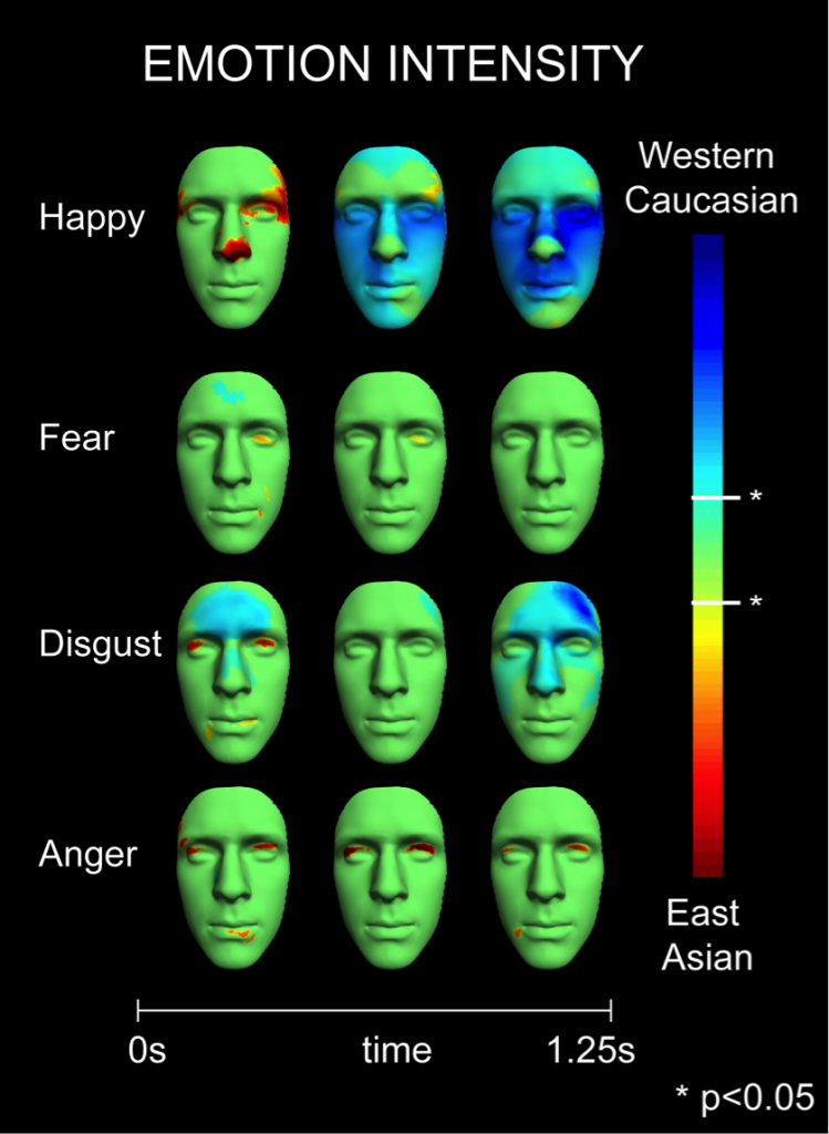 Understanding the Face as a Dynamic Communication Tool | Emotion Researcher